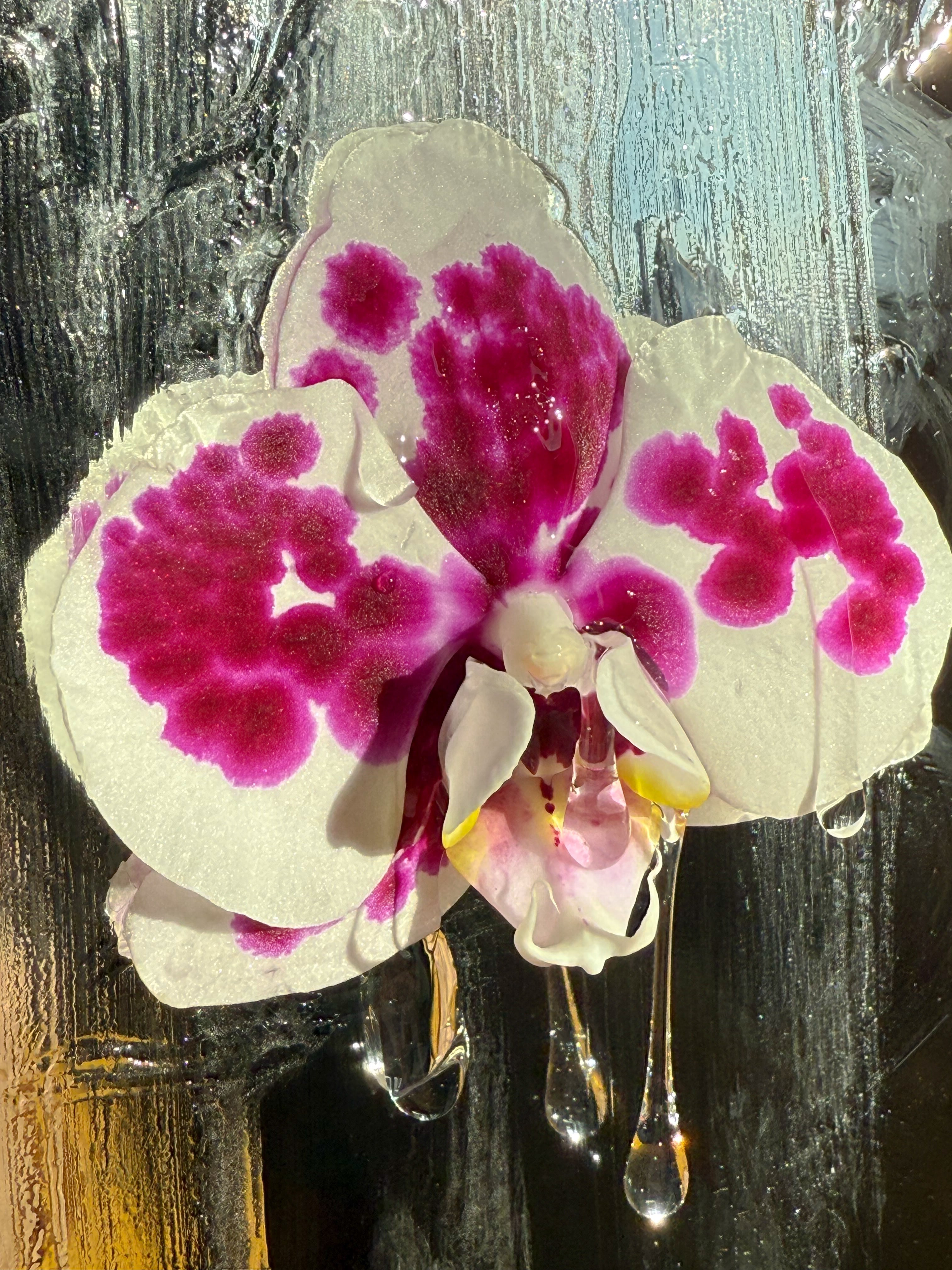 Lubrificante Intimo: Tutto Quello che Devi Sapere | Dafne